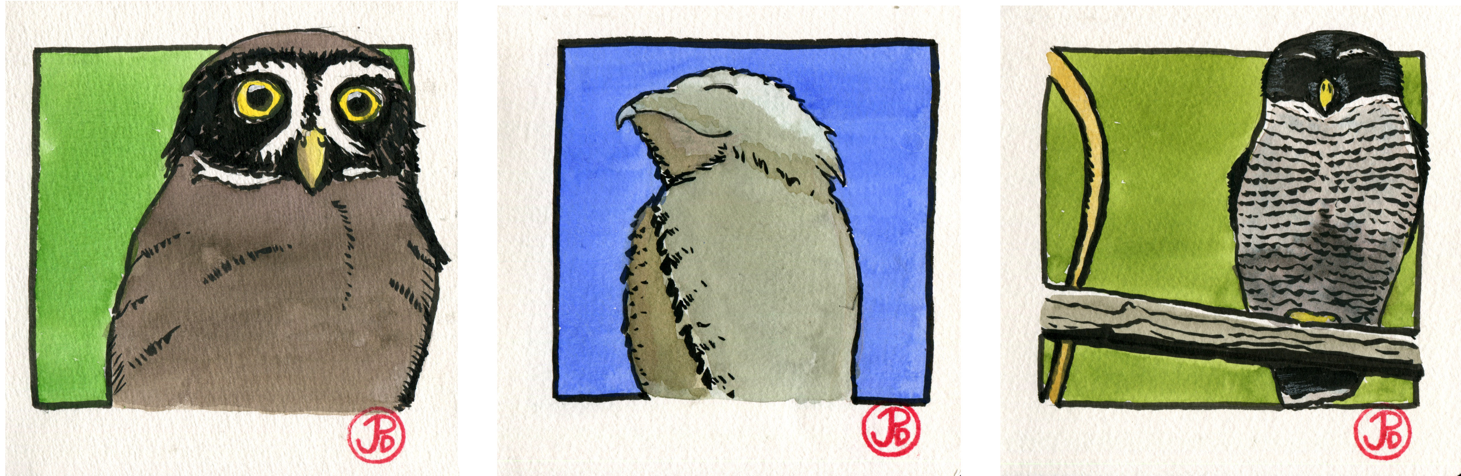 Creatures of the Night – Corvid Sketcher