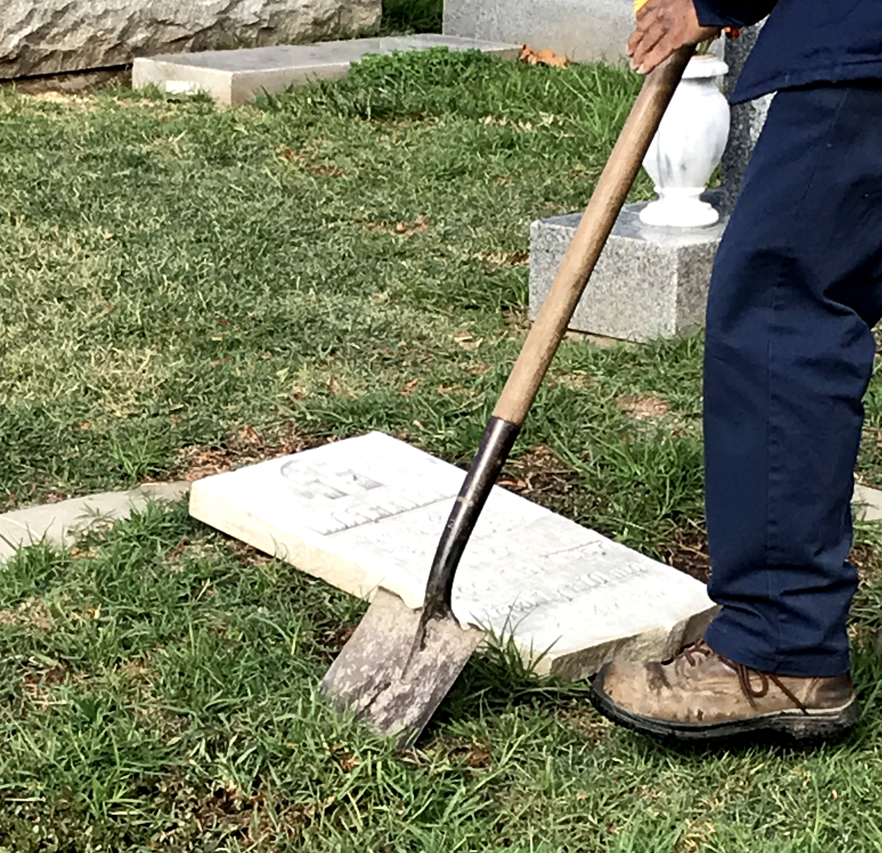 Patty Reed – Corvid Sketcher