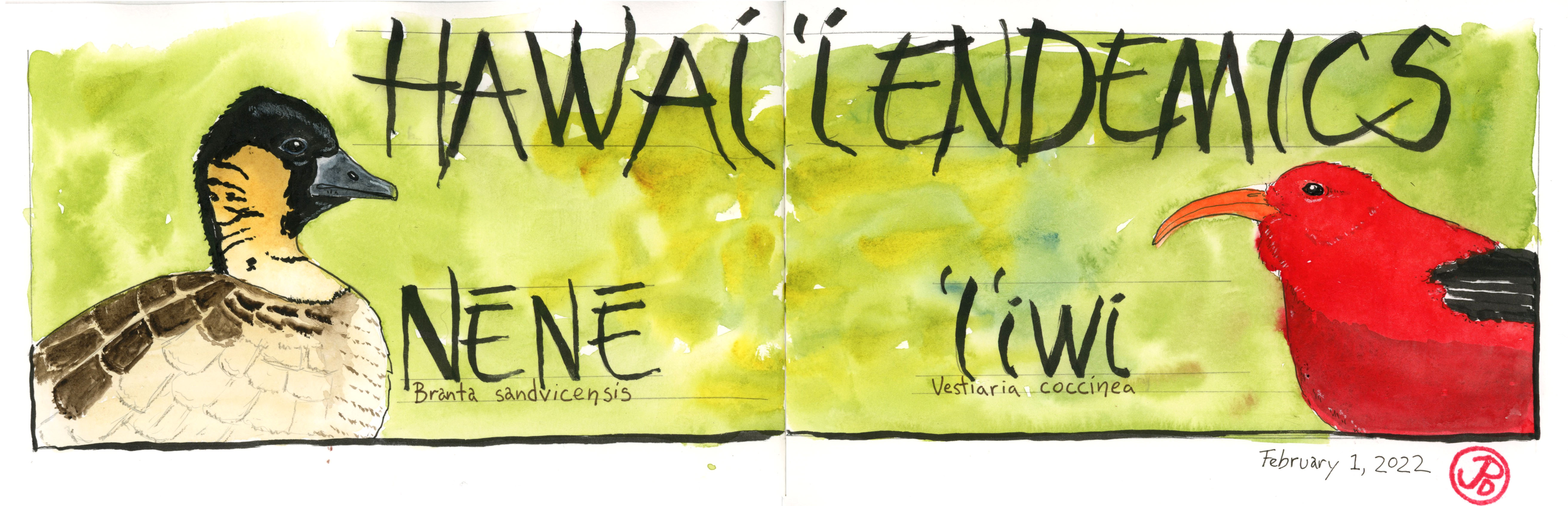 Big Island Endemics – Corvid Sketcher