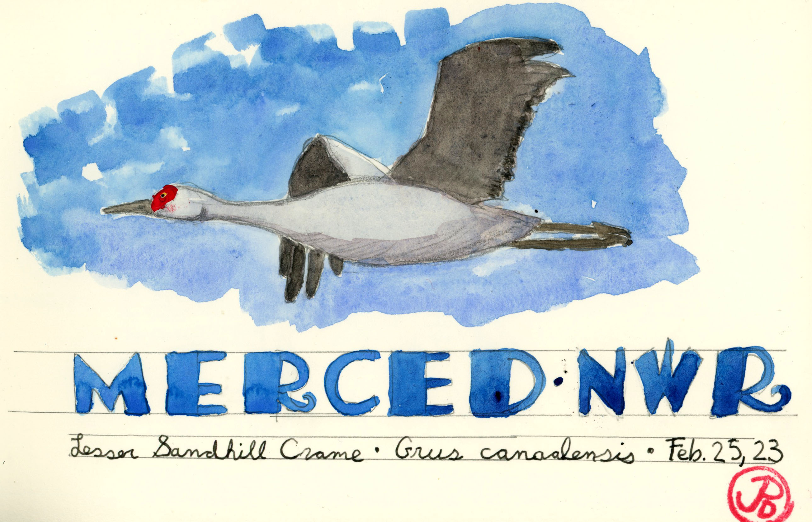Merced National Wildlife Refuge – Corvid Sketcher