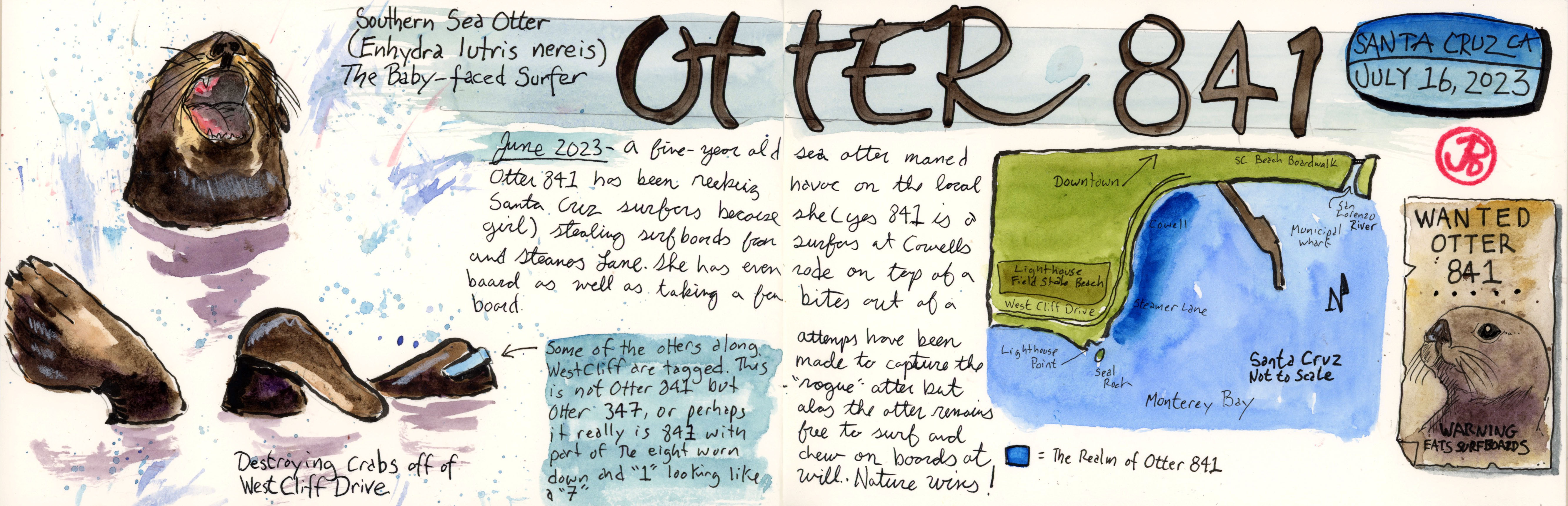 Otter 841 – Corvid Sketcher