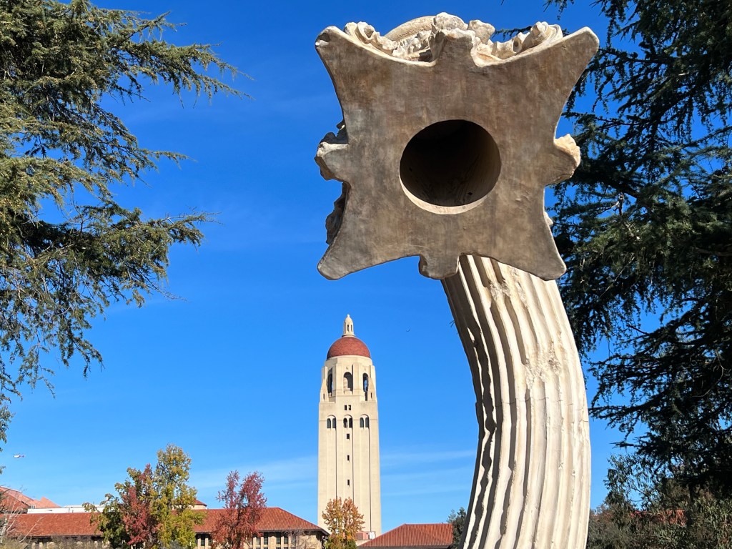 Column Snake, Stanford – Corvid Sketcher