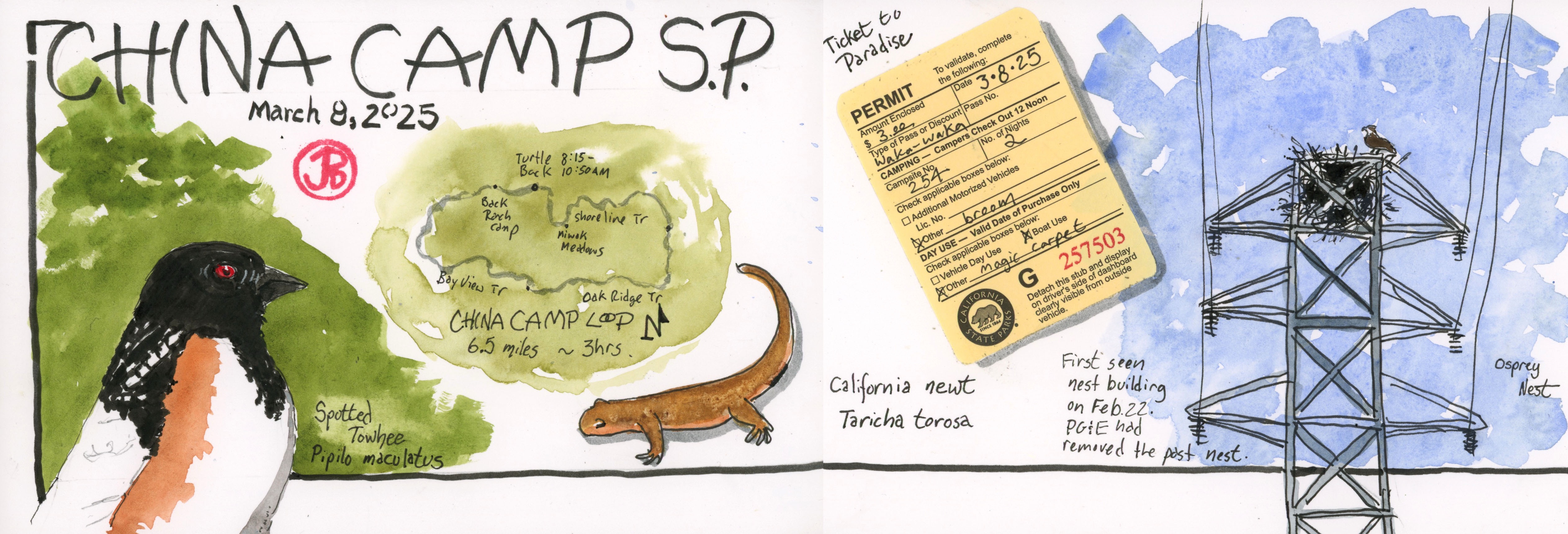 China Camp Loop – Corvid Sketcher