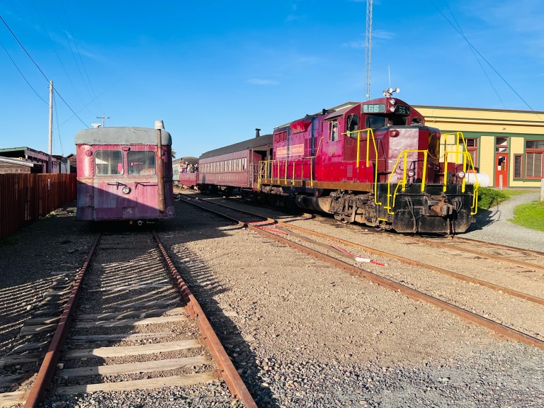 Mikado – Corvid Sketcher